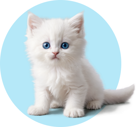 Clowder - Contribution Accounting Tokens (CATs)